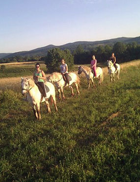 Homepage | Hotel Mirjana - Rastoke